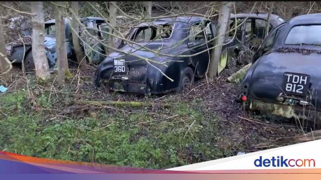 Ada Kuburan Mobil Klasik di Hutan Ini, Begini Potretnya!