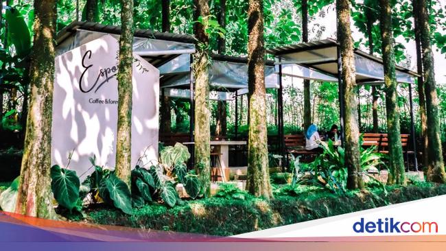 5 Kafe dan Resto Baru di Bogor-Sentul Ini Cocok untuk Hangout Akhir Pekan