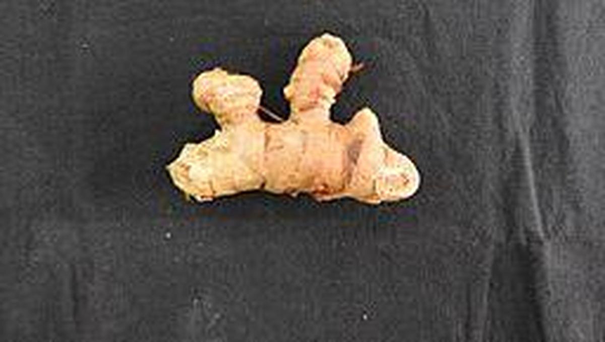 10 Manfaat Kunyit Putih untuk Kesehatan, Tak Hanya untuk Masakan