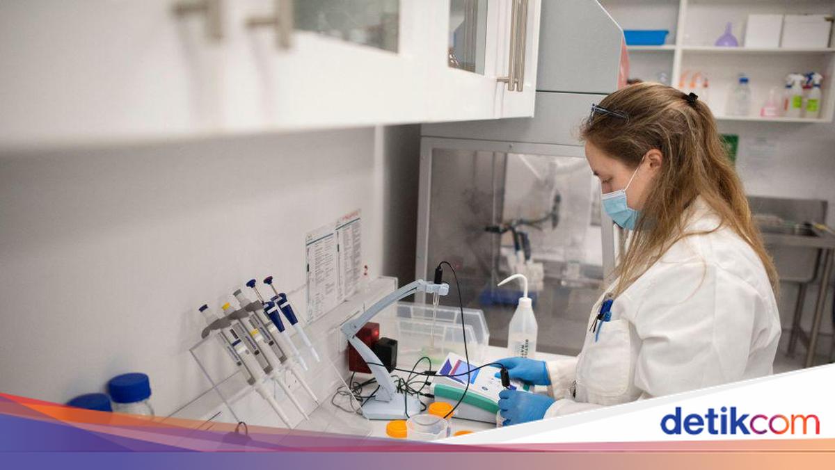 RNA: Pengertian, Struktur, Jenis, dan Perbedaannya dengan DNA