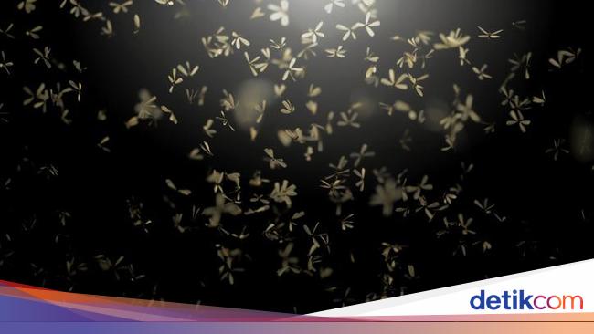 Keadaan Manusia pada Hari Kiamat bak Anai-anai Beterbangan