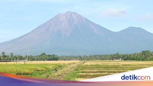 Penampakan Gunung Semeru Usai Muntahkan Lava Pijar hingga Erupsi