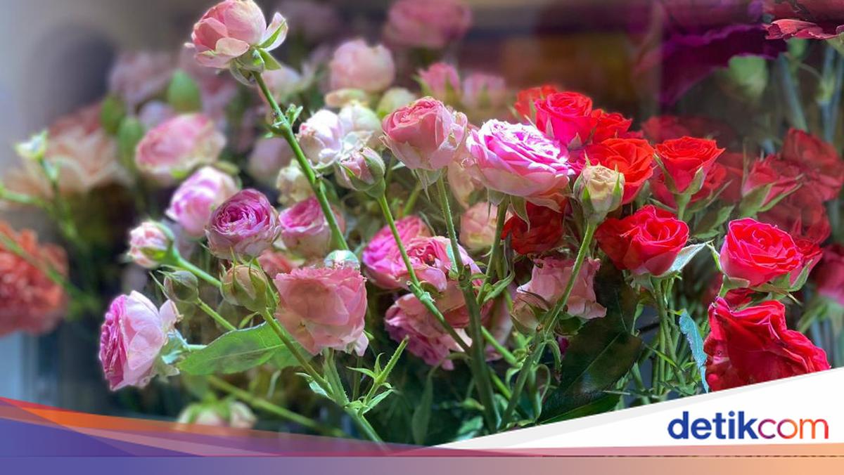 5 Jurusan Kuliah yang Jarang Ditemukan, Manajemen Bunga-Perawatan Rumput