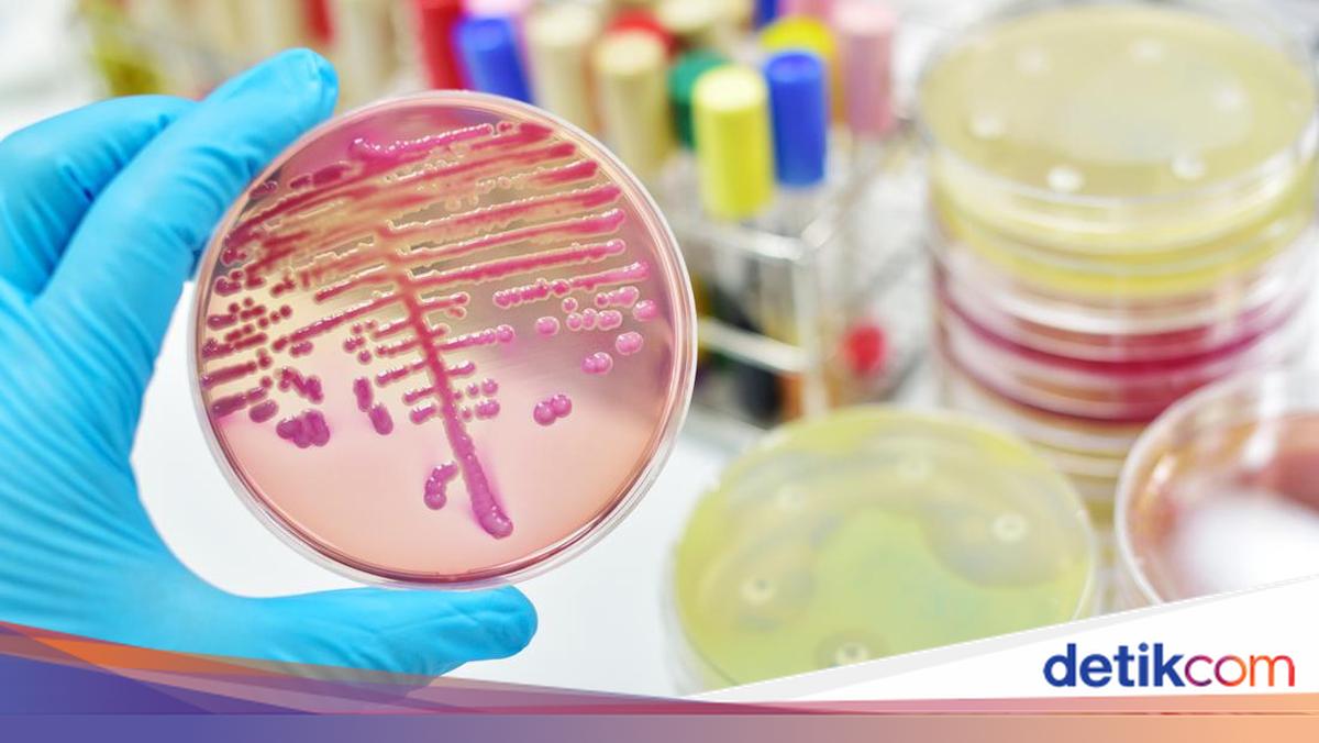 Organisme Uniseluler: Pengertian, Ciri, dan Contohnya