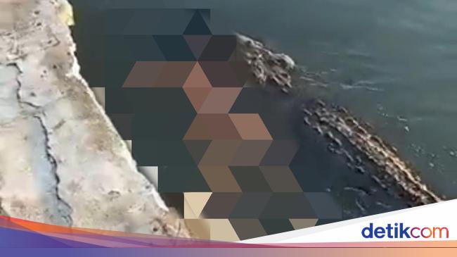 Viral Video Buaya Terkam Manusia, Polisi: Bukan di Batam Viral Video Buaya Terkam Manusia, Polisi: Bukan di Batam