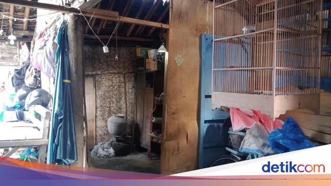 Apa Kabar Janda-3 Cucu Tinggal di Rumah Gedek Tengah Kota Klaten?
