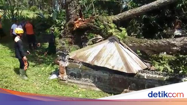 6 Bangunan di Pura Hyang Api Tabanan Hancur Tertimpa Pohon Tumbang