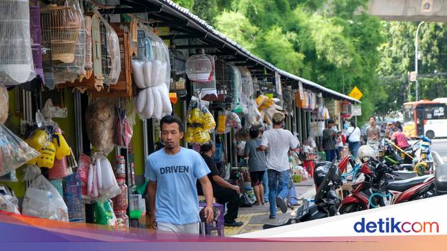 Wajah Terkini Pasar Hewan Barito Usai Revitalisasi