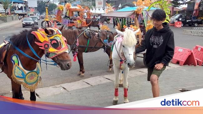 Kisah Si Windu, Kuda Perang yang Tangguh dari Kuningan