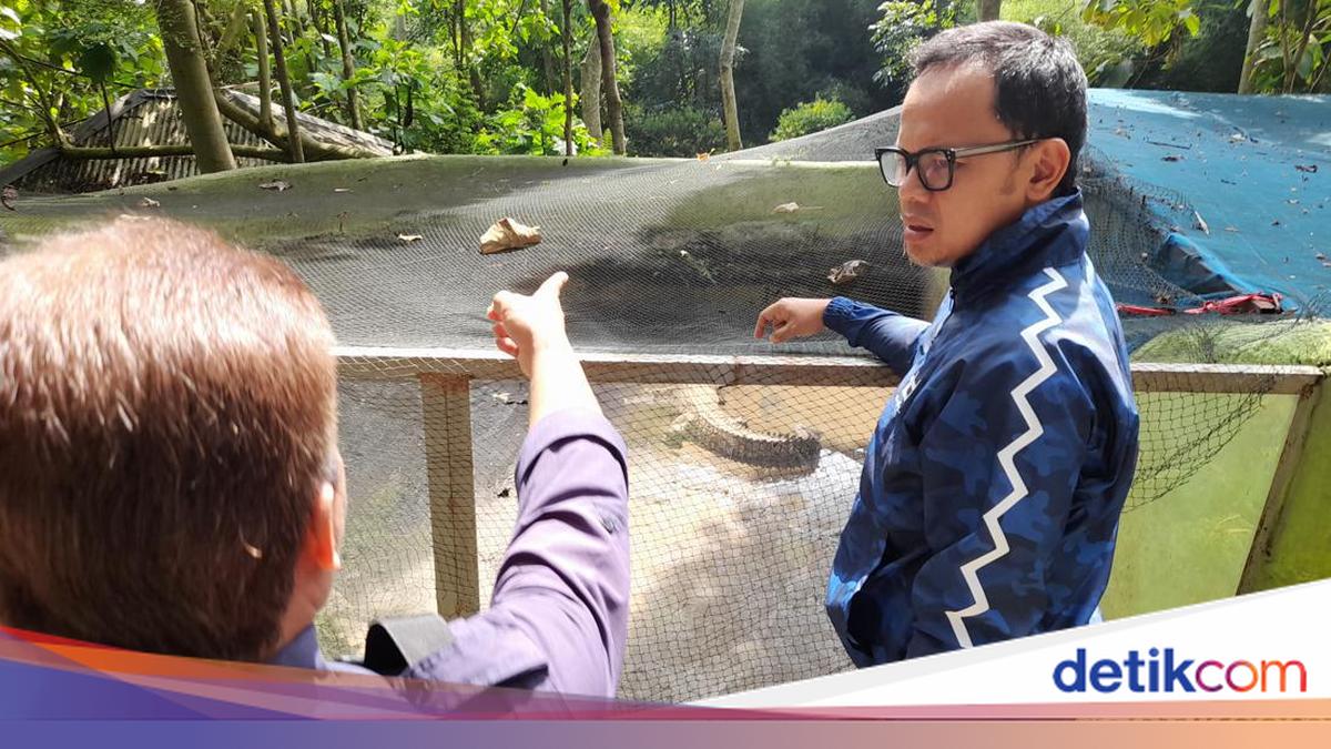 Bogor Mini Zoo Tak Punya Izin, Tapi Isinya Hewan yang Hampir Punah