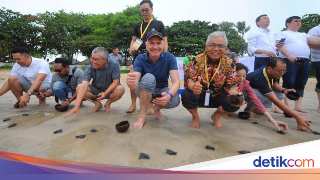 Jaga Kelestarian Alam dengan Melepasliaskan Tukik ke Lautan