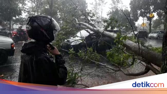 Pohon Tumbang di Subang, Timpa Mobil hingga Sebabkan Macet 6 Km