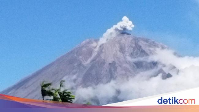Gunung Semeru Erupsi Lagi, Tinggi Abu Capai 700 Meter