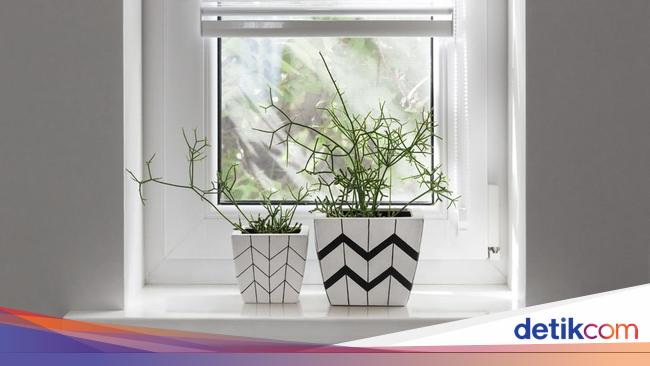 Mistletoe Itu Apa? Ini Makna dan Sejarahnya sebagai Hiasan Natal