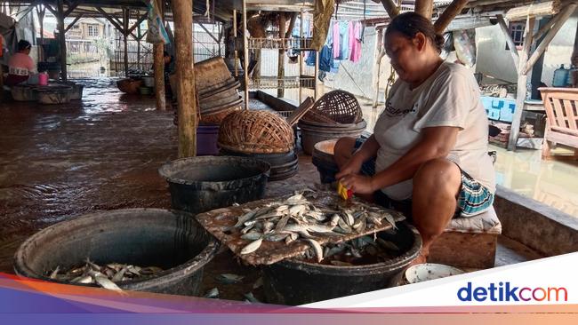 Semangat Emak-emak Indramayu Olah Ikan Manis di Tengah Rob