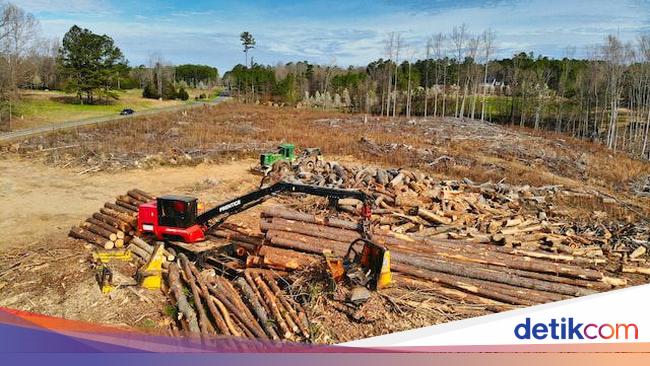 Memahami Berbagai Jenis Eksploitasi dan Contohnya