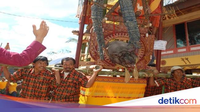Mengenal Tradisi Ma'Lettoan, Upacara Unik di Tana Toraja untuk Syukuran