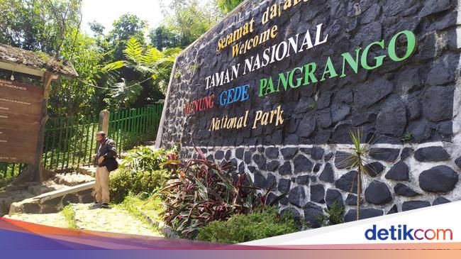 Pendakian Gunung Gede Pangrango Kembali Dibuka Pendakian Gunung Gede Pangrango Kembali Dibuka
