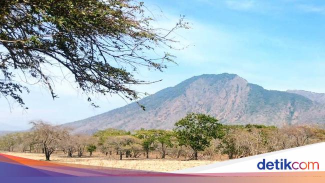 Potret Afrika van Java di TN Baluran Situbondo