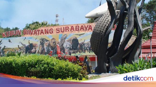 Sekilas tentang Surabaya Ibu Kota Jawa Timur
