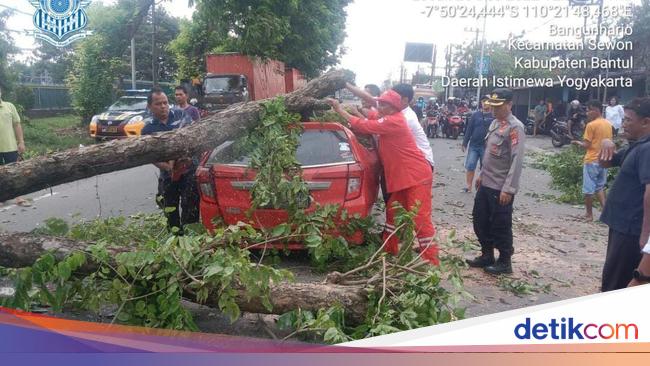 Pohon Tumbang Timpa Mobil di Jalan Parangtritis Bantul