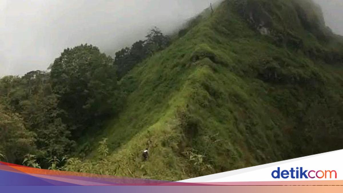 Kabar Gembira, Pendakian Gunung Argopuro Sudah Dibuka Lagi