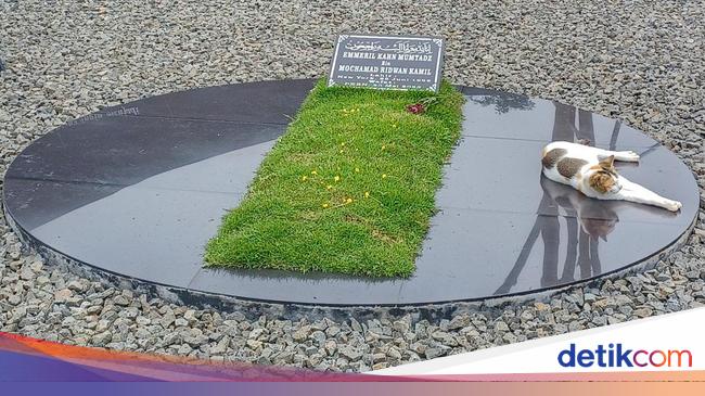 Makam Eril dan Kucing yang 'Menjaga'
