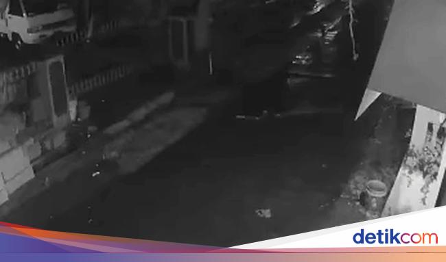 Terekam CCTV! Geger Ular Piton Masuk Permukiman Warga Sukabumi Terekam CCTV! Geger Ular Piton Masuk Permukiman Warga Sukabumi