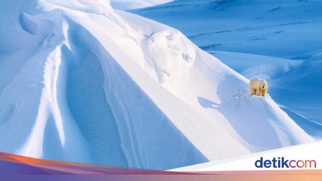 Peneliti Temukan Kemungkinan Manusia Purba Hibernasi Seperti Beruang