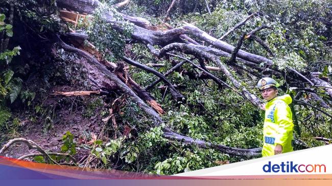 Longsor hingga Pohon Tumbang Tutup Jalan di Cisarakan Sukabumi