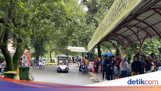Walau Hujan, Ragunan Tetap Ramai Dikunjungi Wisatawan