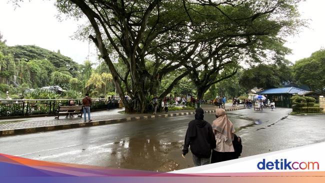 Hari Pertama Tahun Baru 2023, TM Ragunan Sepi Pengunjung Pagi Ini