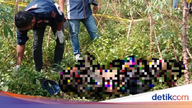 Heboh Mayat Pria Penuh Luka Ditemukan di Kebun Ubi di Deli Serdang