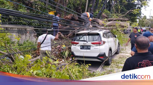 Cuaca Ekstrem, Pohon Tumbang Timpa Mobil di Bypass Ngurah Rai Denpasar