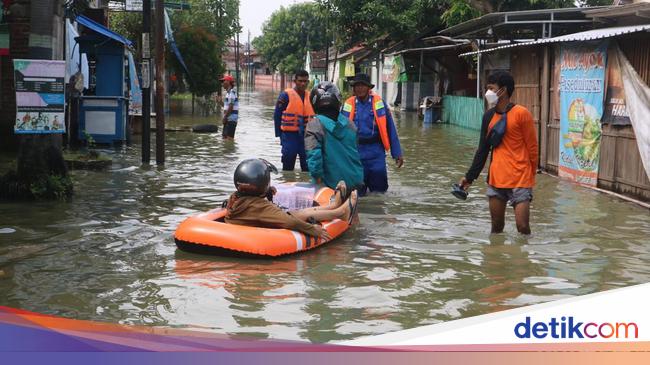 Banjir di Pati Sudah 5 Hari, Ketinggian Air di Bumirejo Cenderung Naik Banjir di Pati Sudah 5 Hari, Ketinggian Air di Bumirejo Cenderung Naik