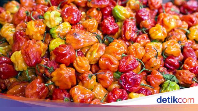 Pencinta Pedas Wajib Cicip 7 Jenis Cabe Ini Minimal Sekali Seumur Hidup