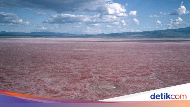 Potret Danau Natron di Tanzania, Cantik Tapi Mematikan
