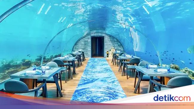Keren! Di 10 Restoran Ini Bisa Bersantap dengan Panorama Bawah Laut