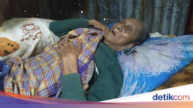 Cerita Kakek Dg Gewa Merokok Santai saat Terjebak Timpaan Pohon-Dievakuasi