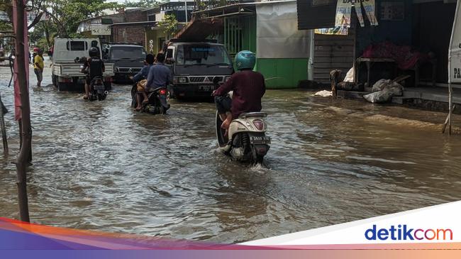 Gus Mus Sentil Banjir Rob di Sayung Demak, Ini Kata BPBD Jateng Gus Mus Sentil Banjir Rob di Sayung Demak, Ini Kata BPBD Jateng