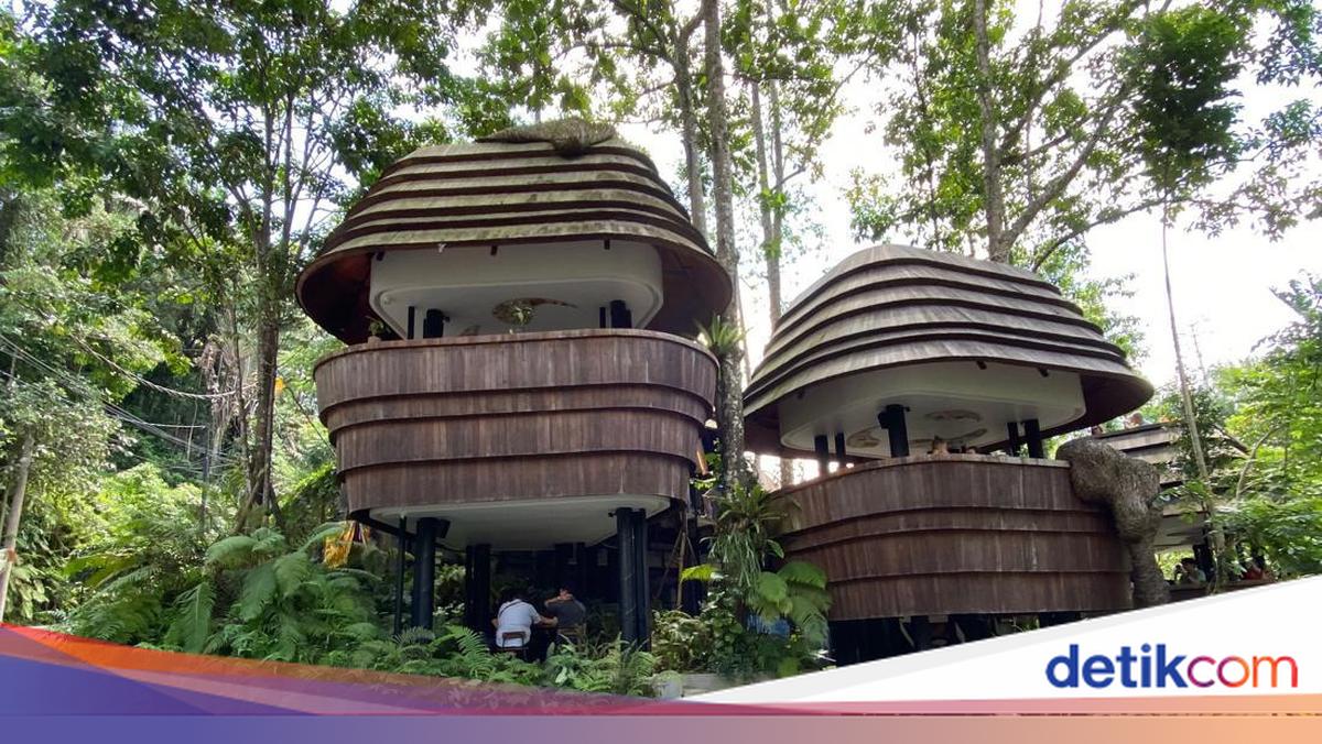 Review: Berkunjung ke Kafe Viral di Ubud, Tempatnya Instagramable Tapi...