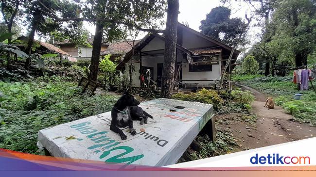Warga Puncak Manik yang Akrab dengan Hewan Liar