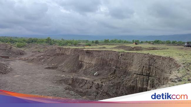 Savana Tianyar yang Bau Tai Sapi Itu Memang Bagus, tapi...