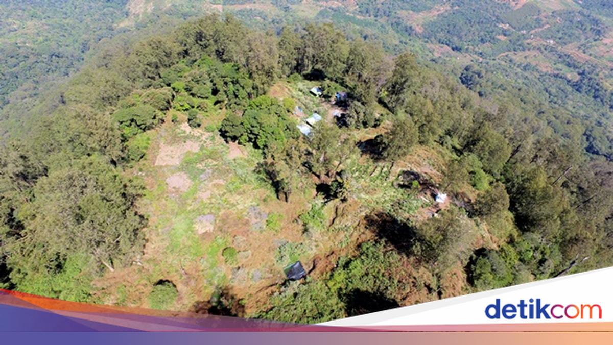 Gunung Sanghyang Bali: Lokasi hingga Jalur Pendakian