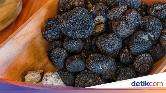 10 Jamur Termahal di Dunia, Harganya Ada yang Rp 60 Juta!