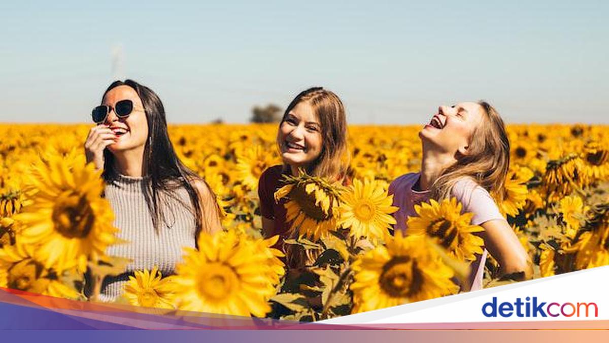 Vibes Artinya Suasana di Bahasa Gaul, Begini Penggunaannya
