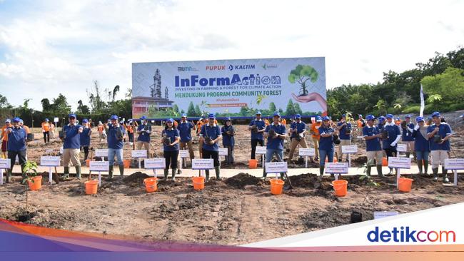 Tekan Emisi Karbon, Pupuk Kaltim Tanam 23.272 Pohon Sepanjang 2022