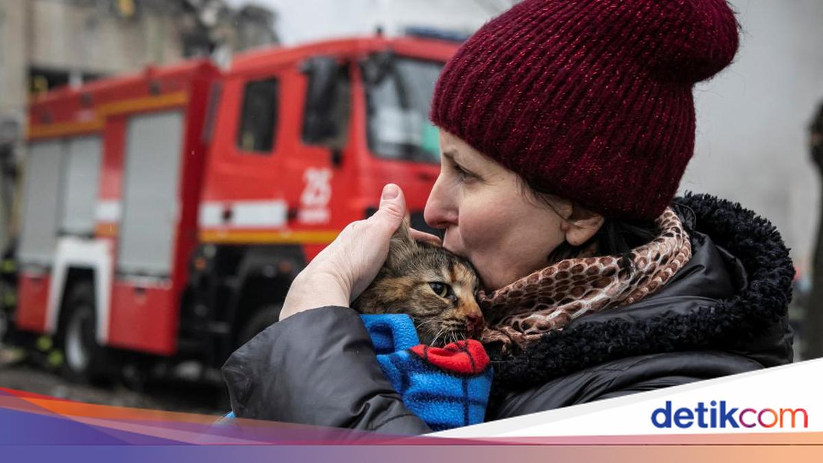 Studi: Relasi dengan Hewan Peliharaan Setara Emosional dengan Manusia