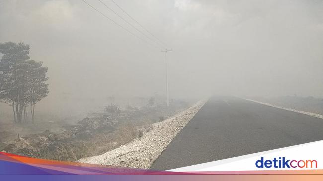 Penampakan Jalanan di Natuna yang Tertutup Asap Tebal Akibat Karhutla