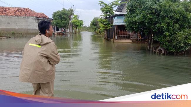 Sebulan Berlalu Sejumlah Desa Di Pati Jateng Masih Banjir
